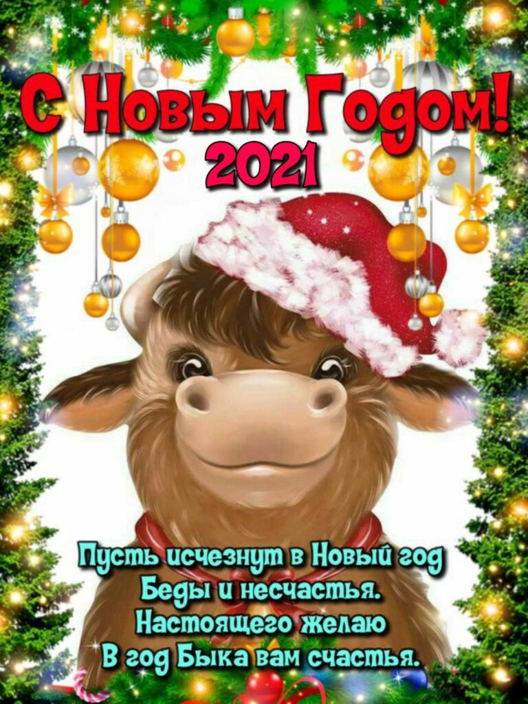 Поздравления с Новым 2021 годом новогодние с годом Быка: открытки ...